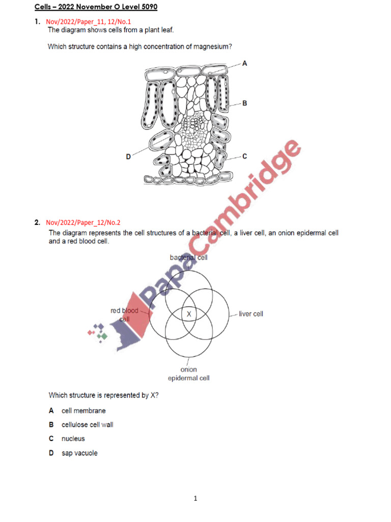 2022N Cells O Level 5090 Biology | PDF
