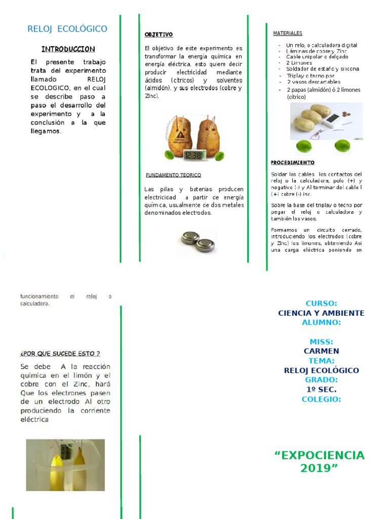 Reloj Ecológico: Proyecto Escolar | PDF