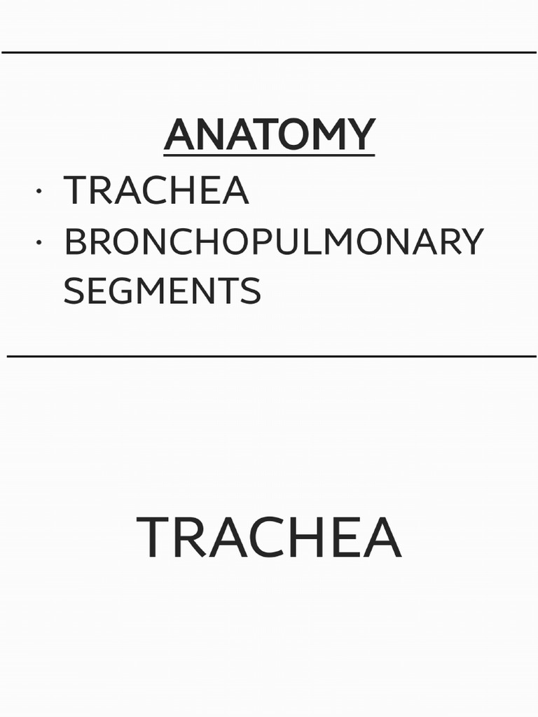 2.TRACHEA and Bronchopulmonary Segments | PDF
