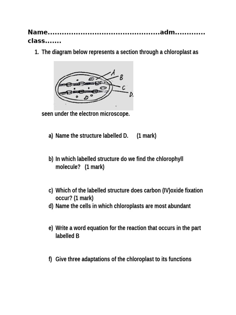 Biology Form 2 April Holiday Assignment 00PIUM | PDF | Photosynthesis ...