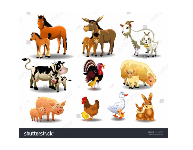 Farm Animals | PDF