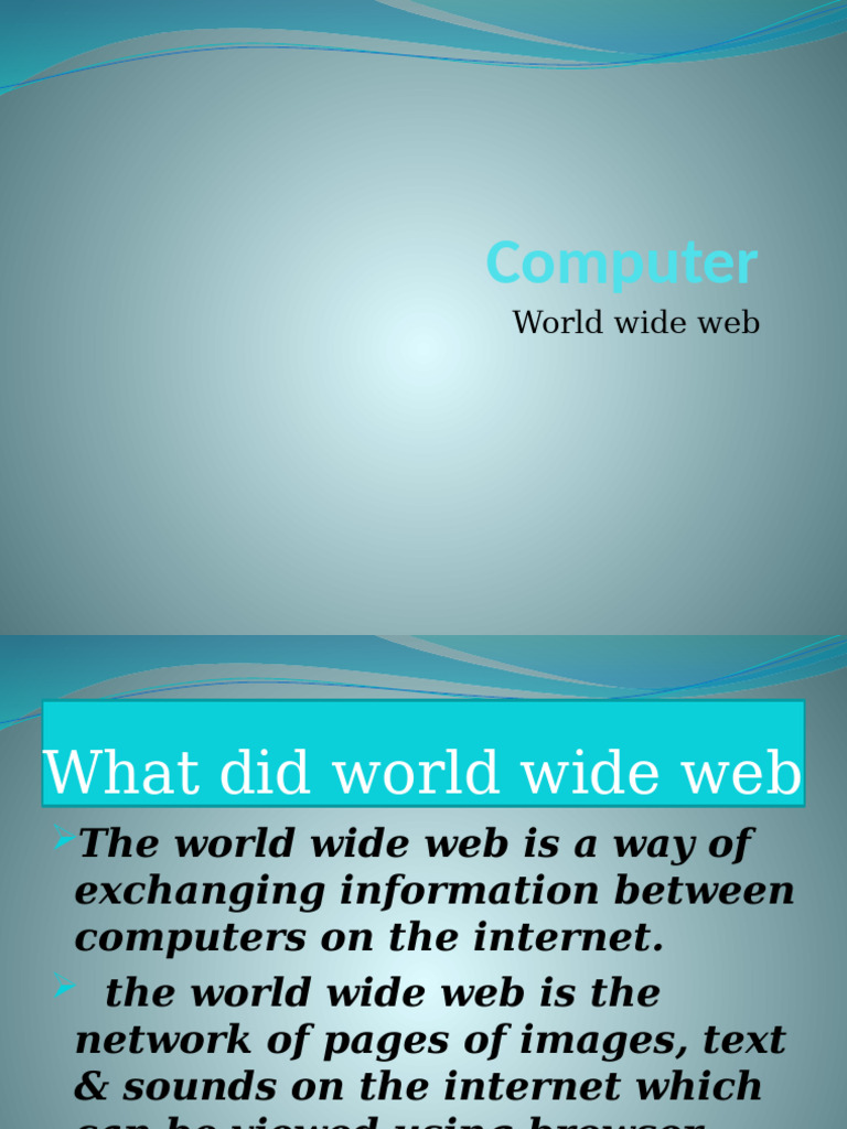 World Wide Web | PDF