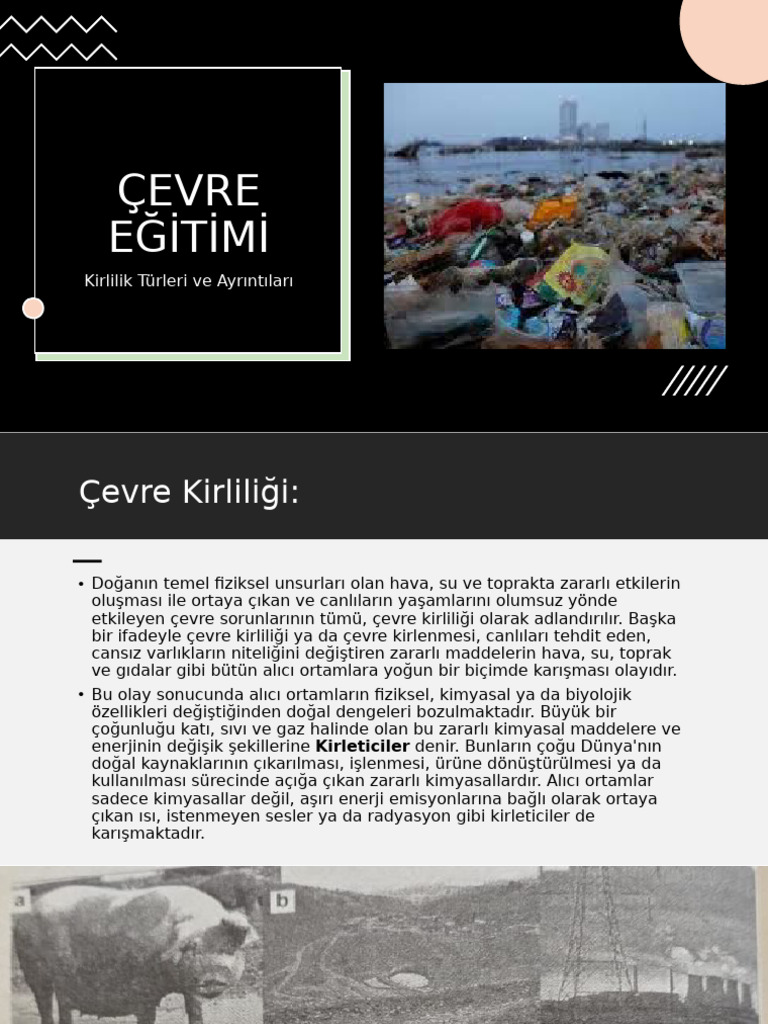 Presentation 2 (1) | PDF