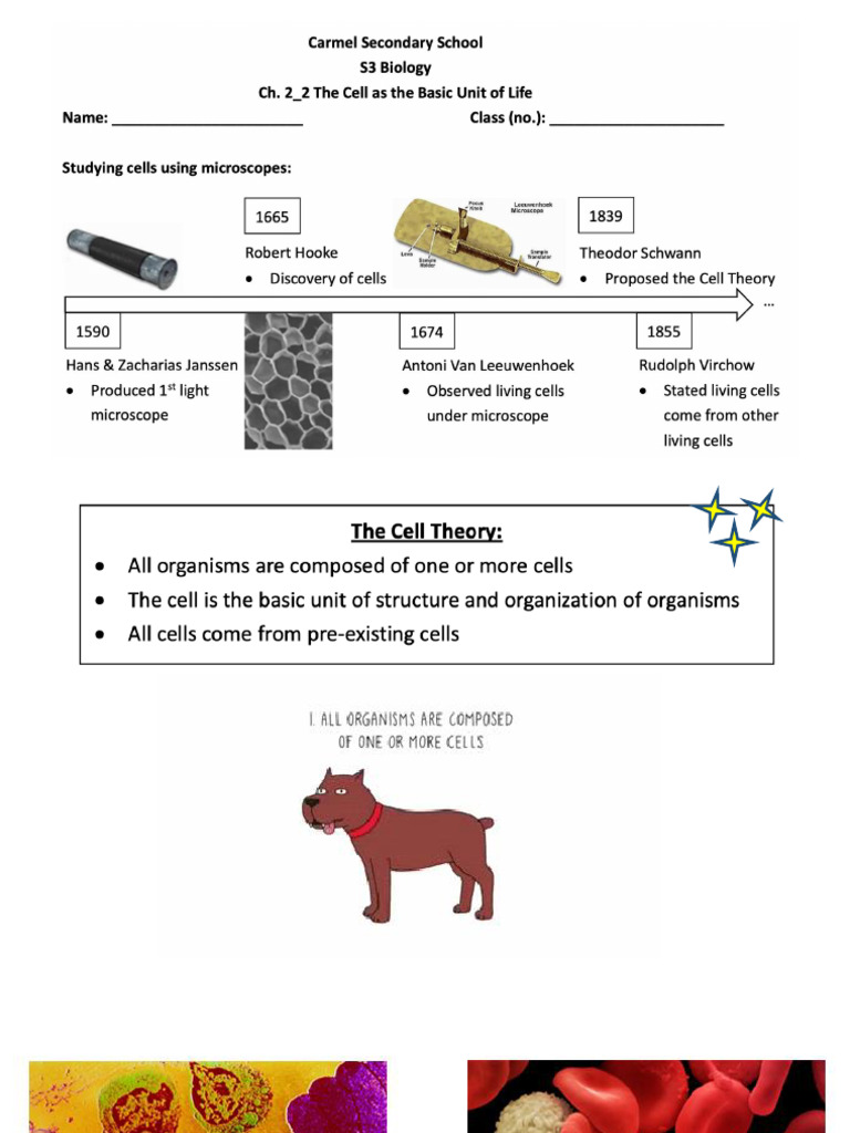 Microscope Basics and Cell Structure | PDF