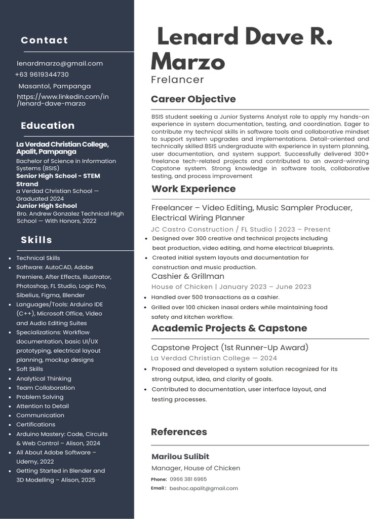 Marzo Resume Systems Analyst (Junior) | PDF | Computing | Software