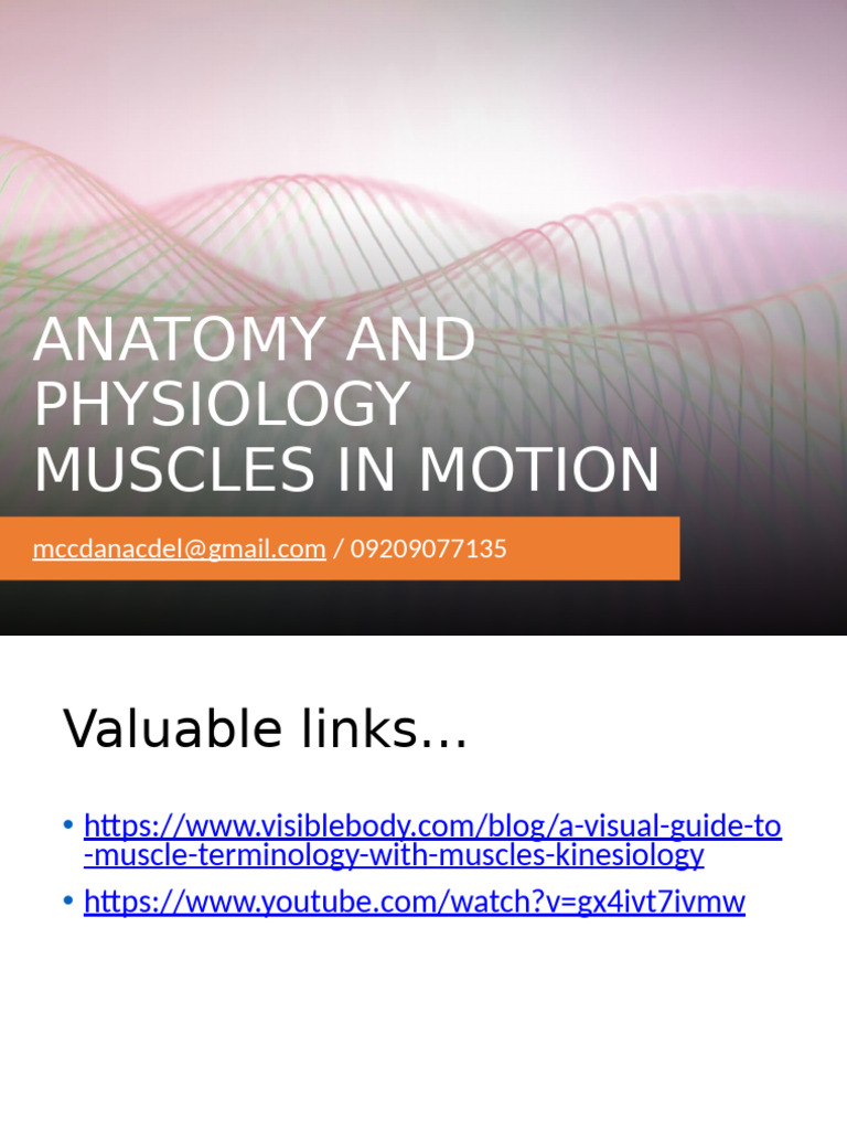 Muscles in Motion | PDF | Anatomical Terms Of Motion | Muscle Contraction