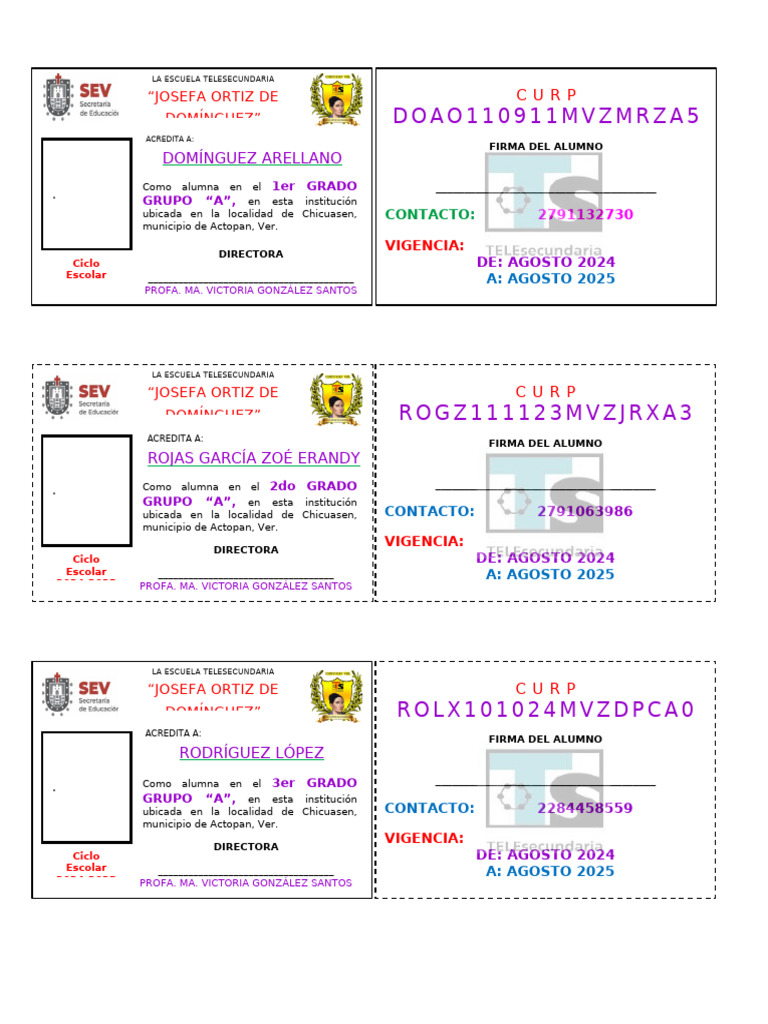 Credencial Formato - 085127 | PDF