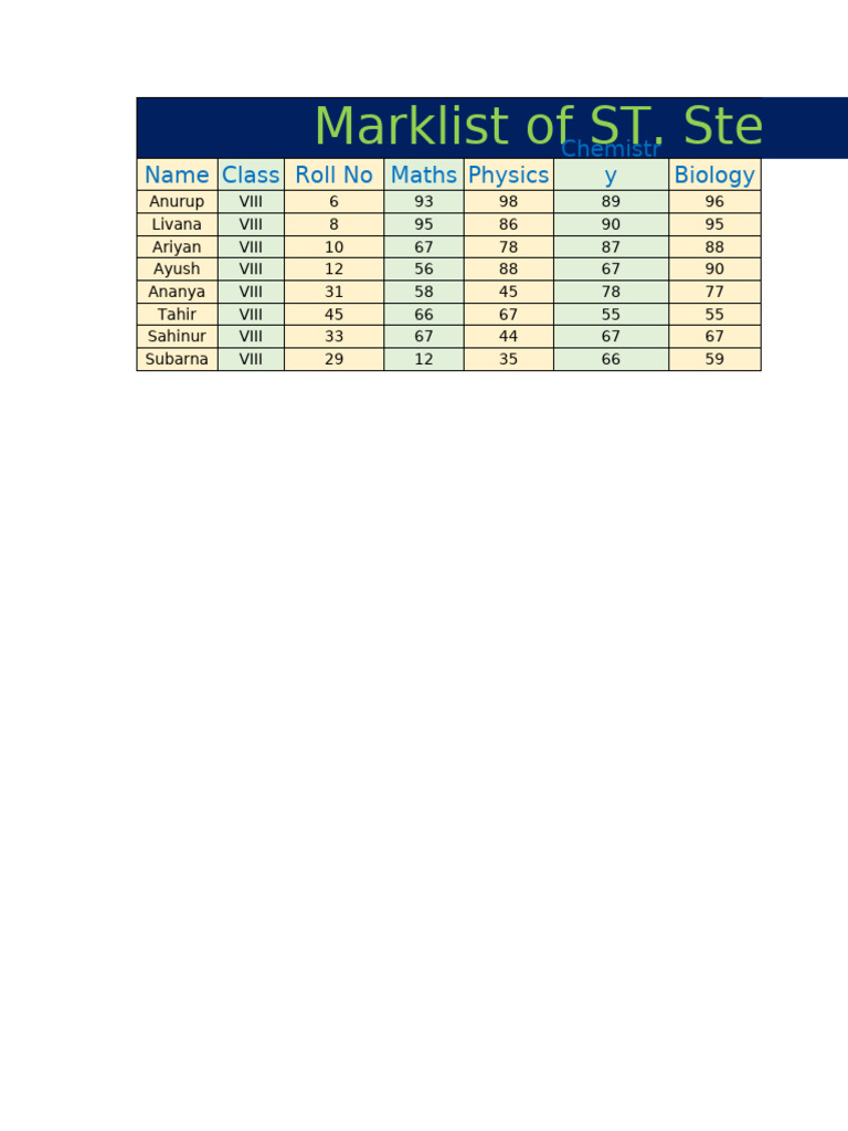 1st Excel Project | PDF