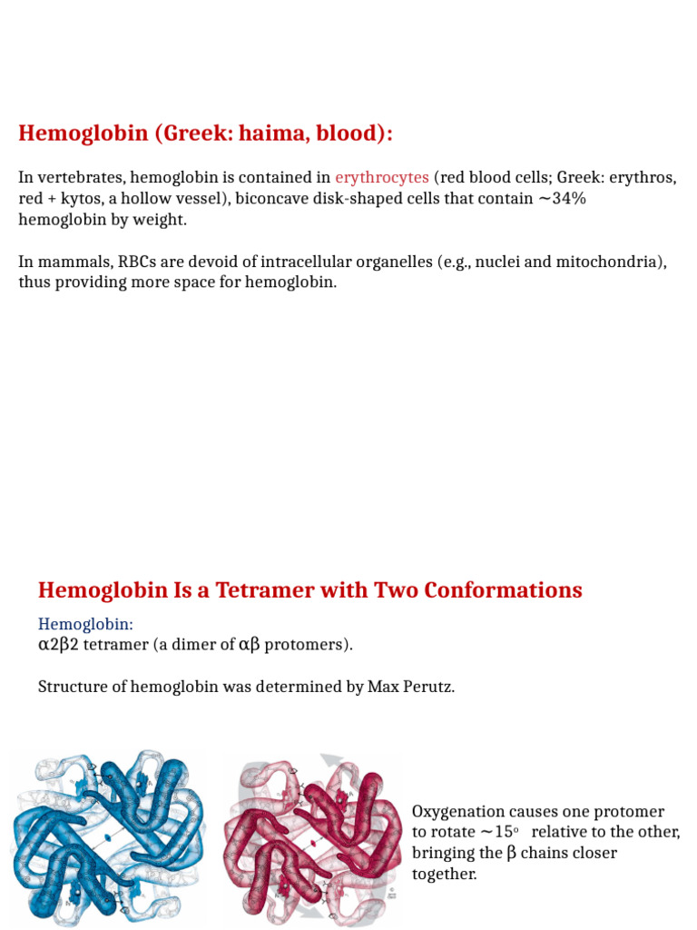 9 Hemoglobin | PDF | Hemoglobin | Red Blood Cell