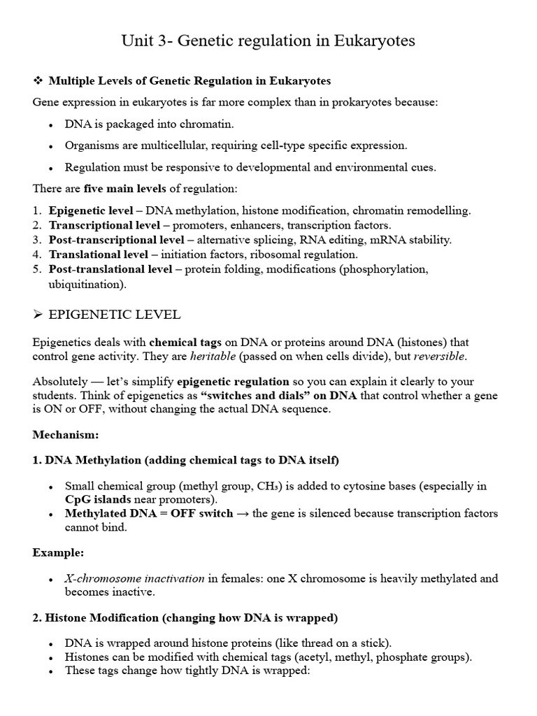 SY - Eukaryotic Gene Regulation | PDF | Messenger Rna | Rna