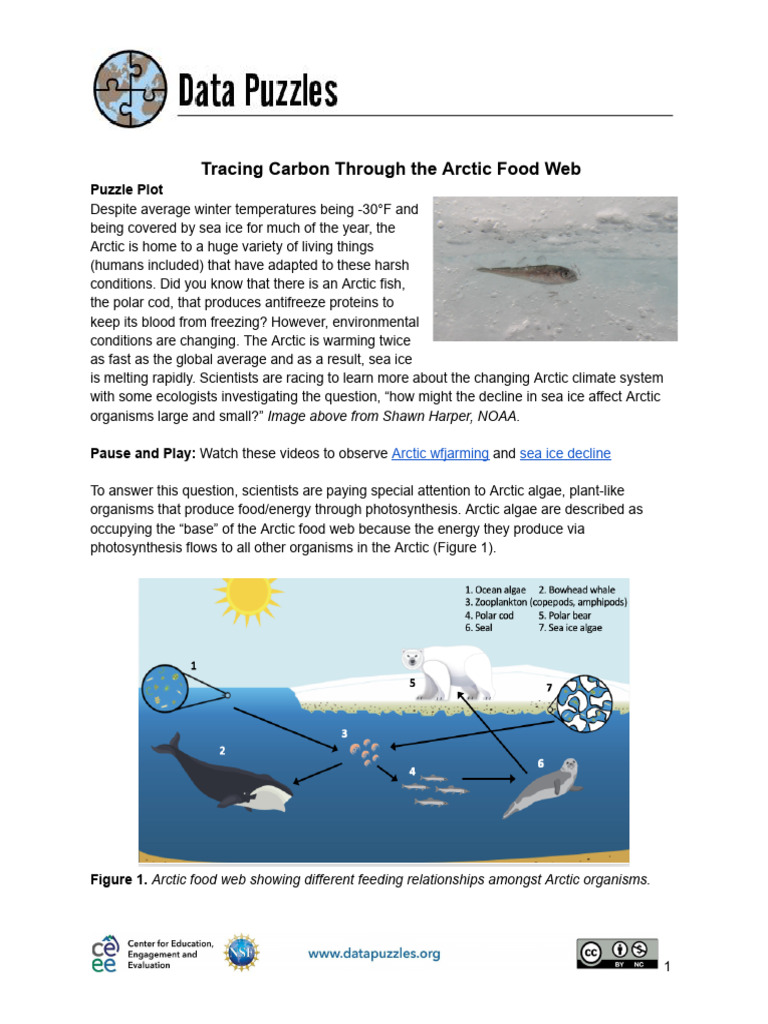 Arctic Ecosystem Carbon DigitalWS 2025 | PDF | Sea Ice | Arctic