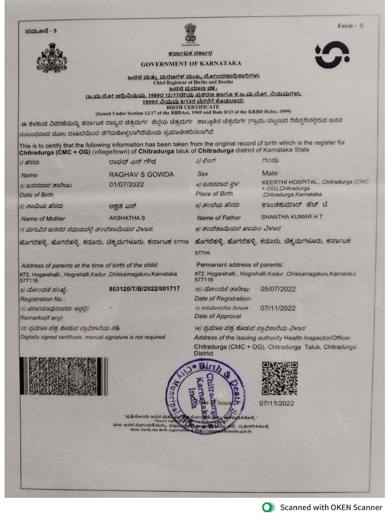 Birth Certificate | PDF