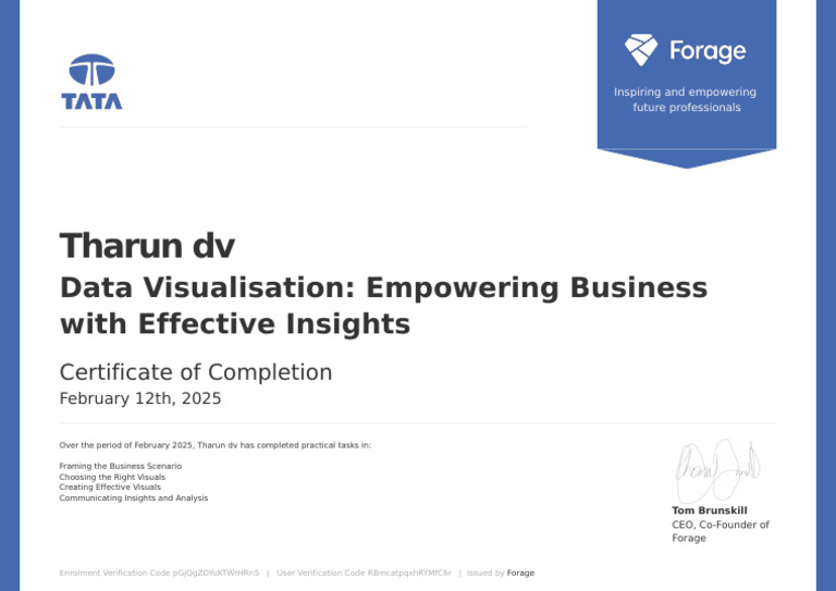 Data Analytics (TATA) by Forage | PDF