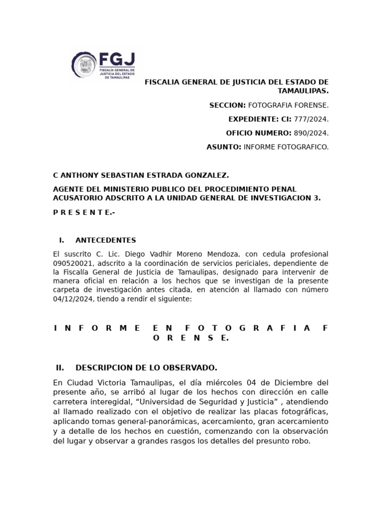 Informe de Fotografia Forense VV | PDF
