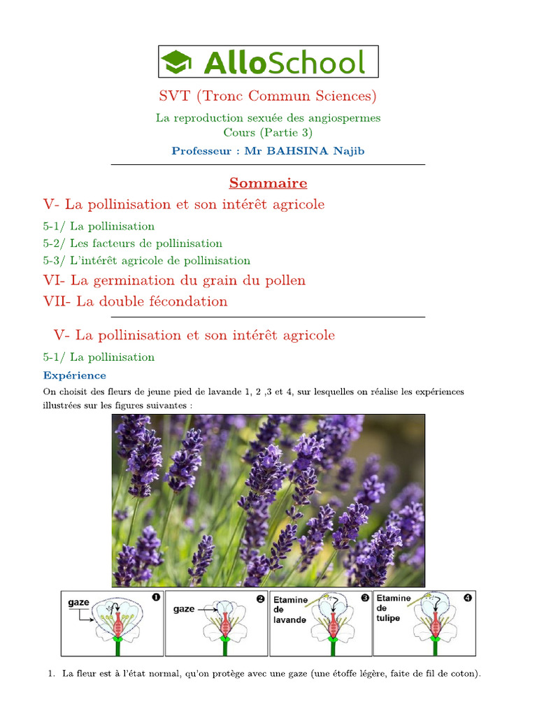 Cours 6 3 La Reproduction Sexuee Des Angiospermes Partie 3 2 | PDF