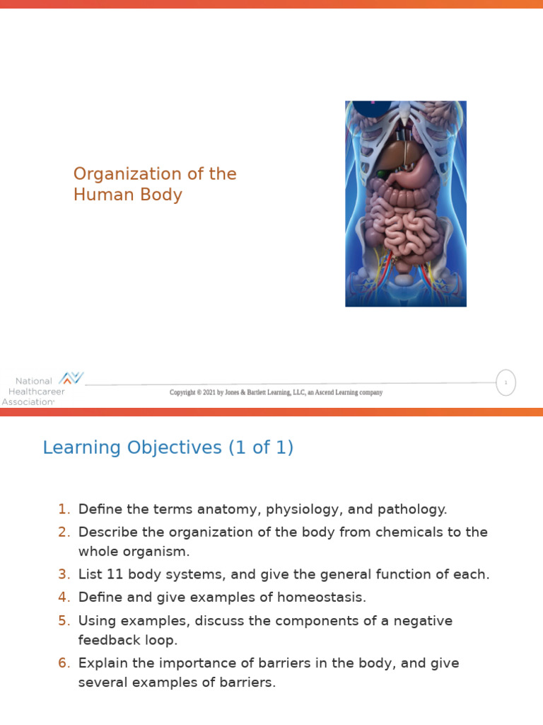 Nha - Module 1 - Organization of The Human Body - Organization of The ...