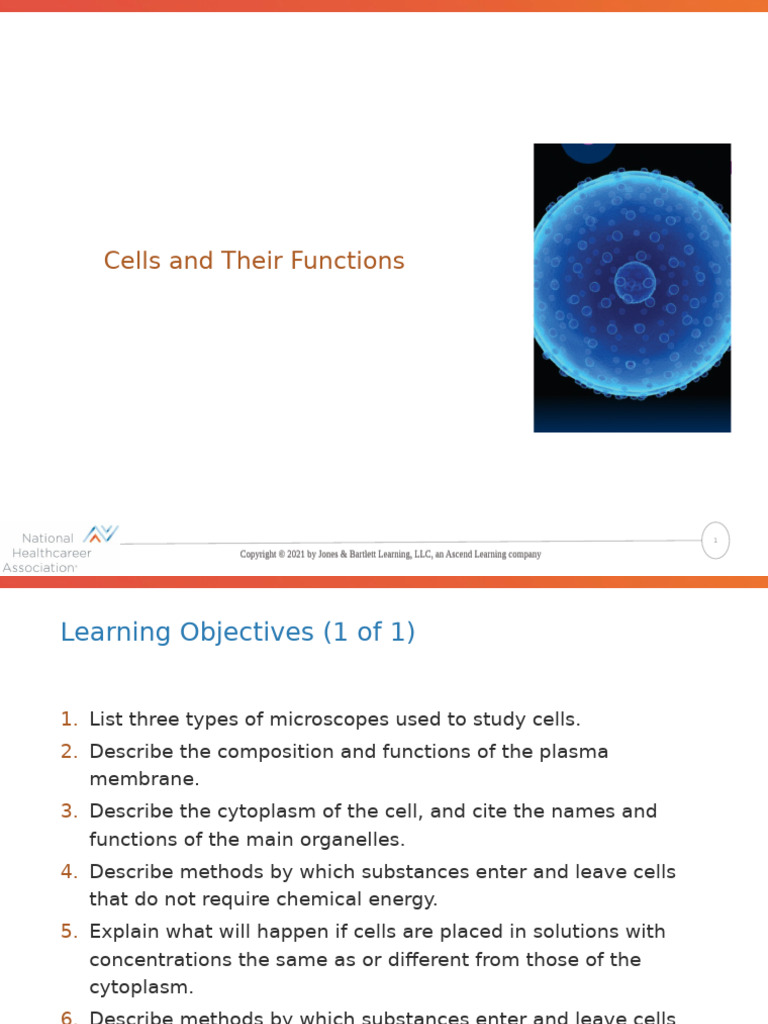 Understanding Cell Structure and Functions | PDF | Endoplasmic ...