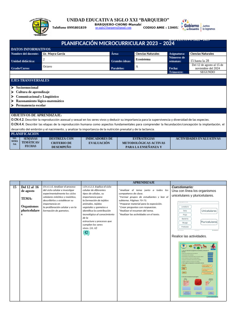 Planificación Segundo Trimestre 8vo CC - NN | PDF | Universo | Aprendizaje
