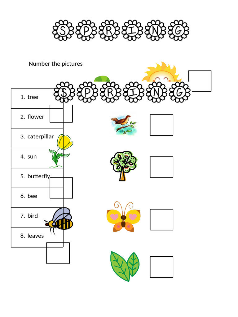 Counting Nature: Fun Activities for Kids | PDF