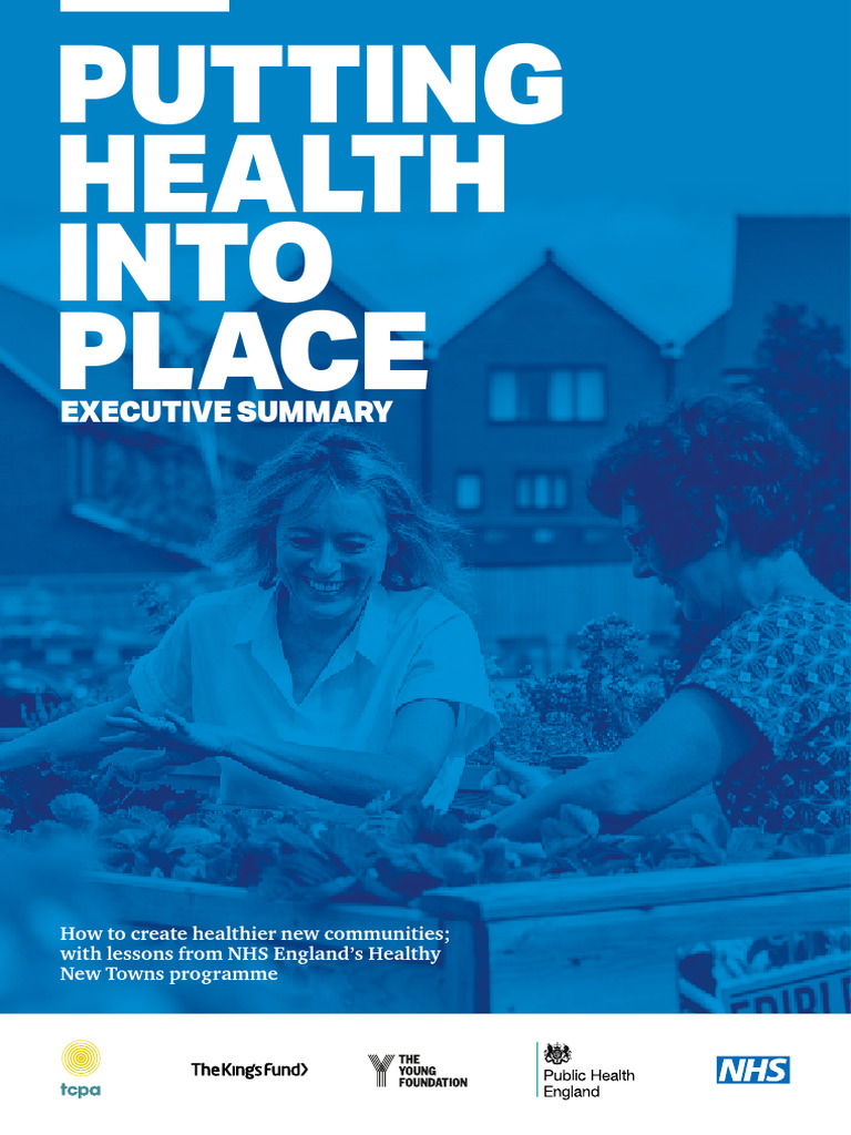 Healthy New Towns: Principles for Wellbeing | PDF