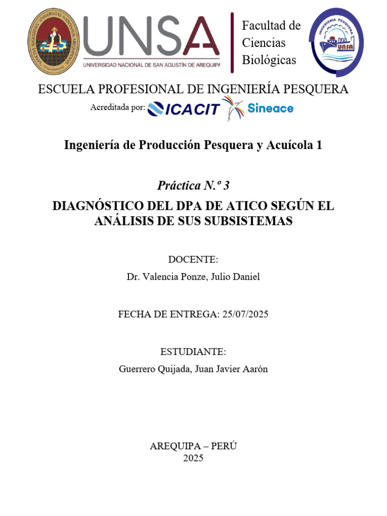 Diagnóstico CP Atico (mejorado)_IPPA1 | PDF | Sustentabilidad ...