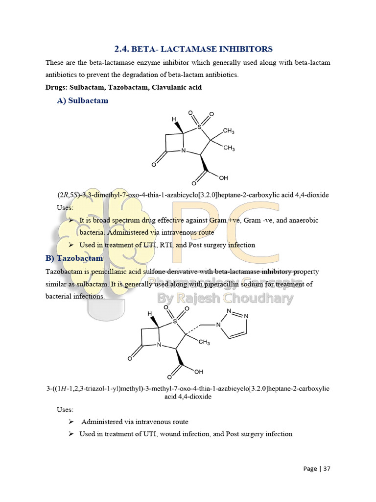 Beta Lactamase Inhibitors | PDF