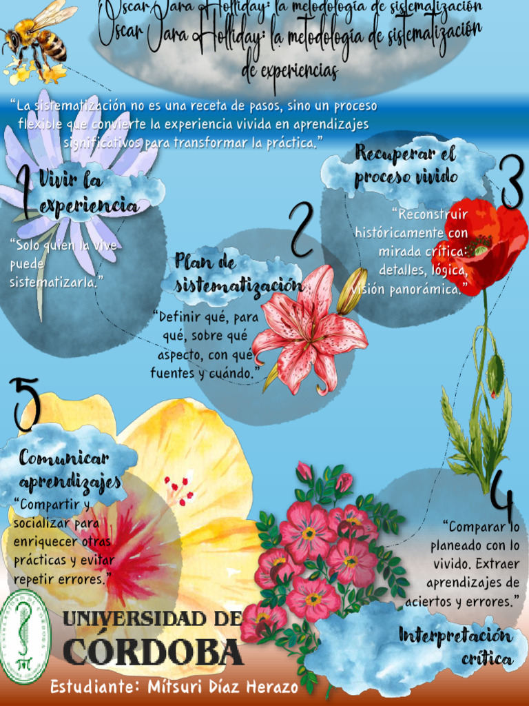 Infografía (Metodología de Sistematización de Experiencias) | PDF
