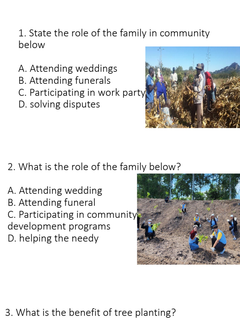 Grade 5 Social Science 01 | PDF | Marriage | Beekeeping