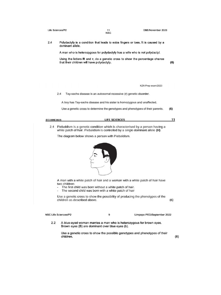 Monohybrid Crosses | PDF