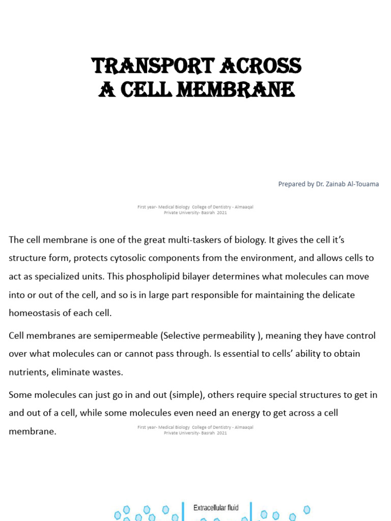 Transport Across A Cell Membrane 8 | PDF | Osmosis | Cell Membrane