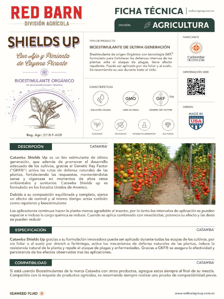 Shields Up | PDF