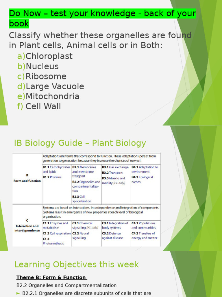 1 Intro Organelles Photosynthesis | PDF | Photosynthesis | Cell (Biology)