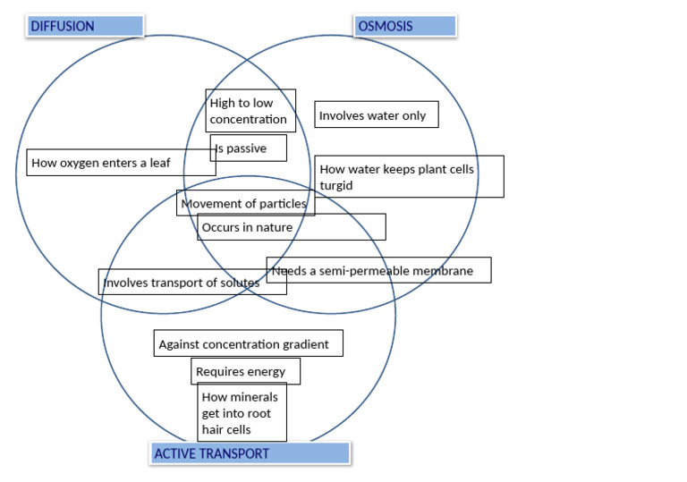 Diffusion Osmosis Active Transport Venn Diagram | PDF