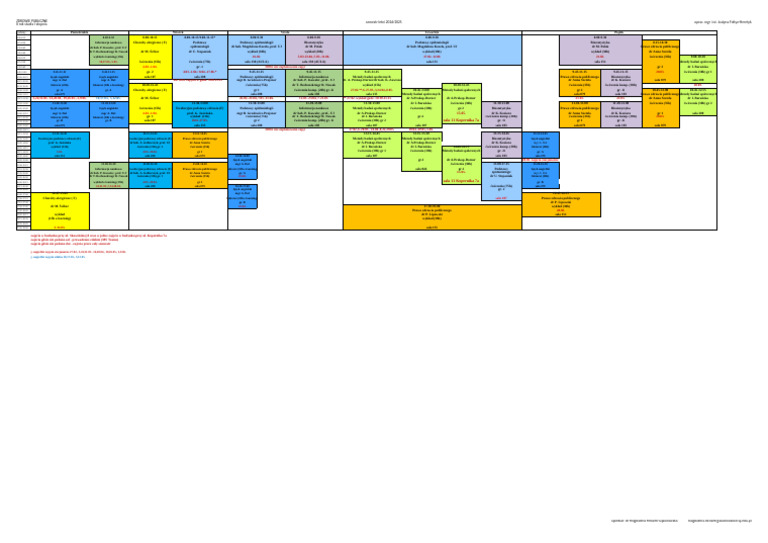 Zdrowie Publiczne II Rok Studia I Stopnia Semestr Letni 2024/2025 Oprac ...