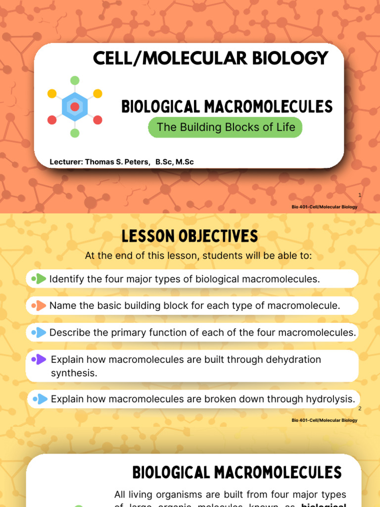 Lectures Notes in Biology | PDF | Carbohydrates | Polysaccharide