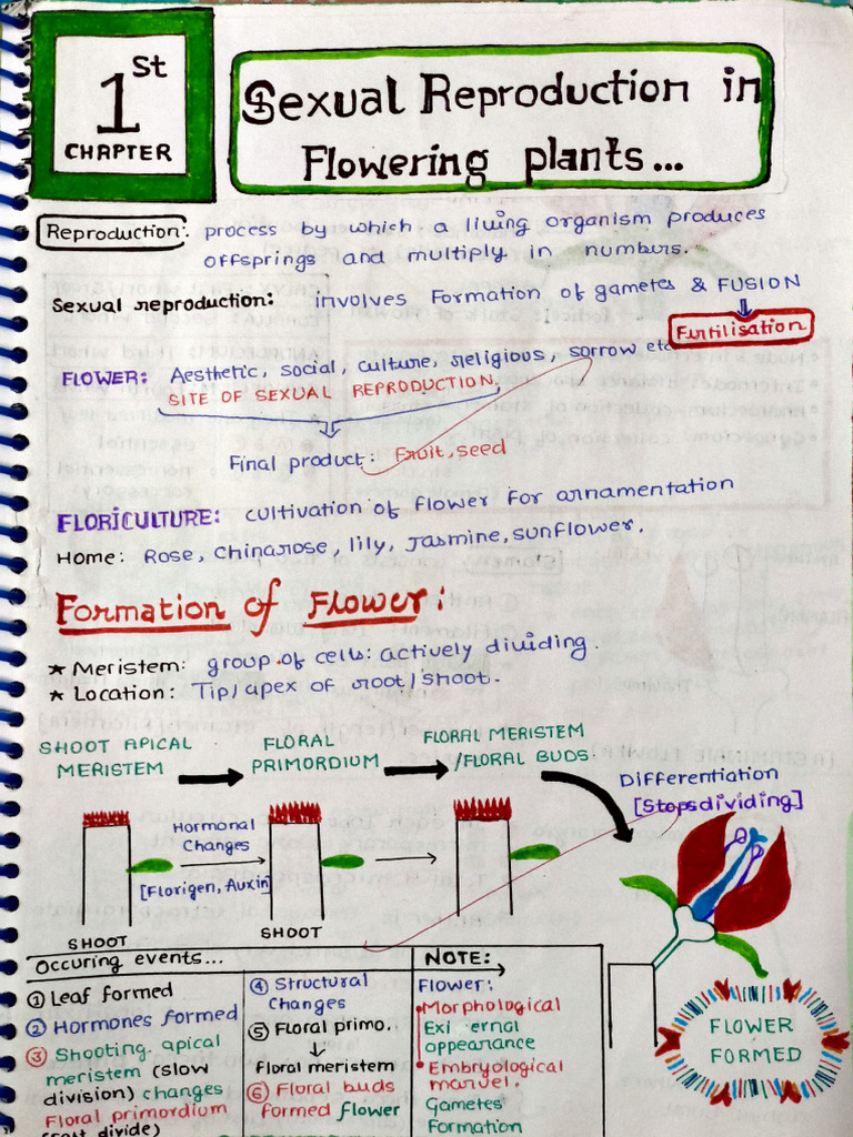 sexual reproduction in ? plants | PDF
