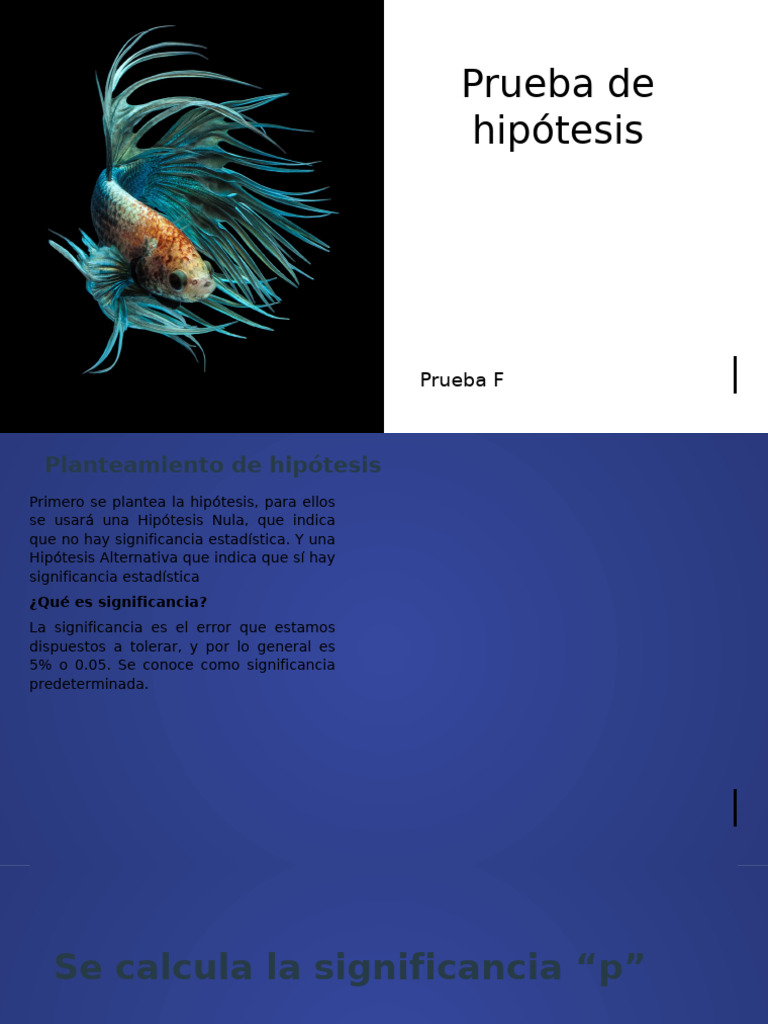 Prueba de Hipótesis F | PDF
