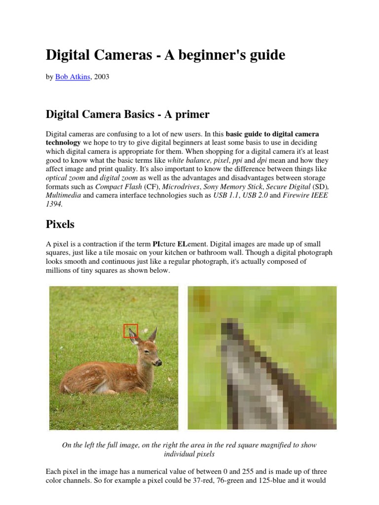 Digital Cameras - A Beginner's Guide | PDF | Digital Single Lens Reflex ...