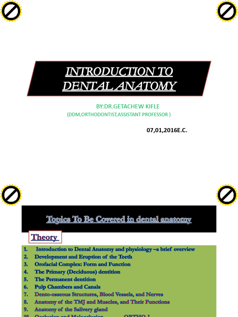 Introduction To Dental Anatomy | PDF | Orthodontics | Dentistry