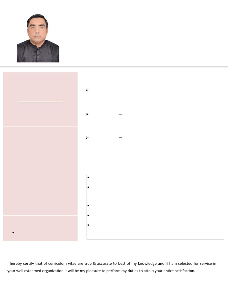 Muhammad Faheem Hussain CV Summary | PDF