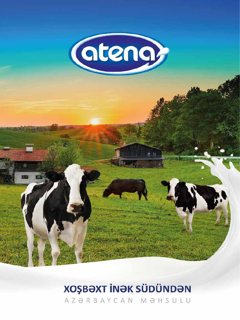 Atena Catalogue AZE-RUS | PDF