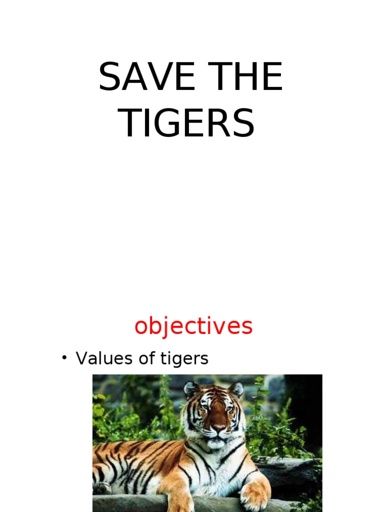 Save The Tigers | PDF | Tiger | Mammals Of Asia