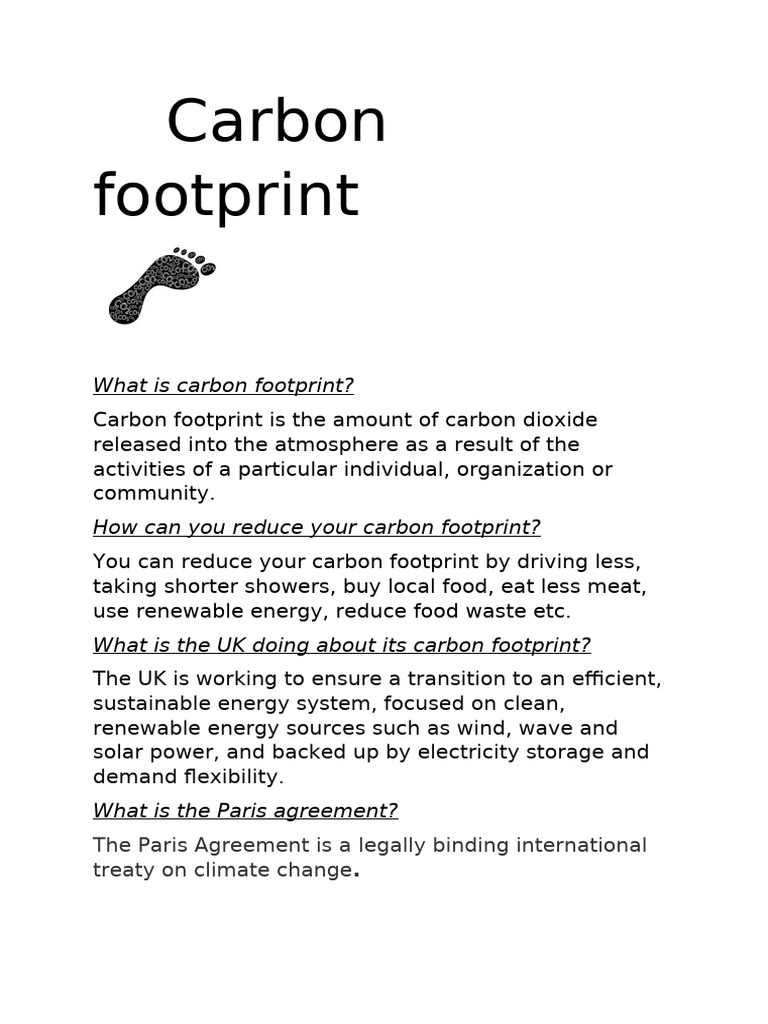 Carbon Footprint | PDF
