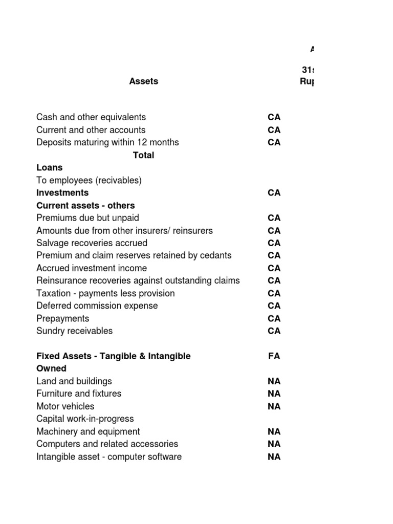 Adamjee Insurance 2010 Financial Overview | PDF