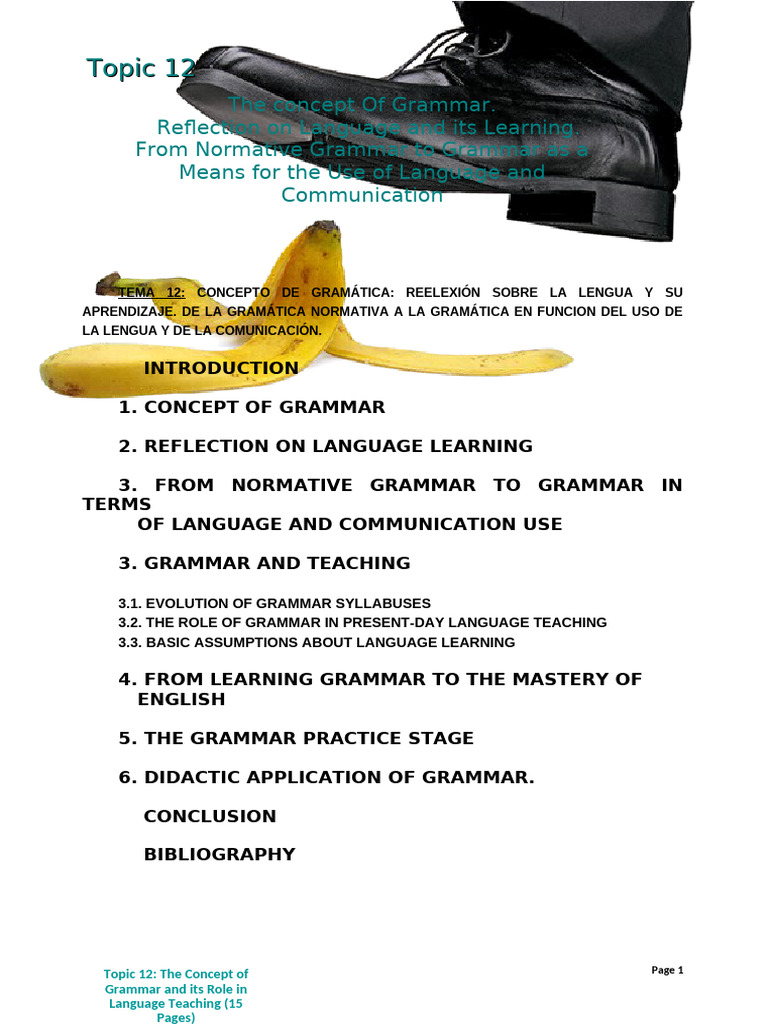 Tema 12 Concept of Grammar and Learning | PDF | Language Education ...