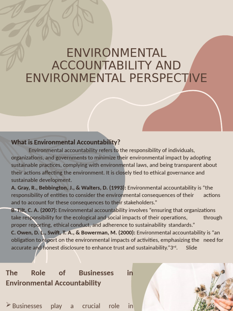 Environmental Accountability and Environmental Perspective | PDF ...