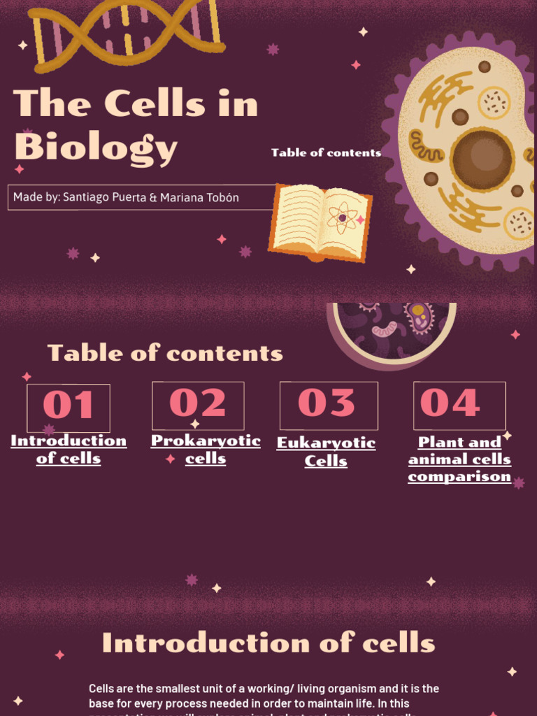 Cells Presentation | PDF | Cell (Biology) | Cytoplasm