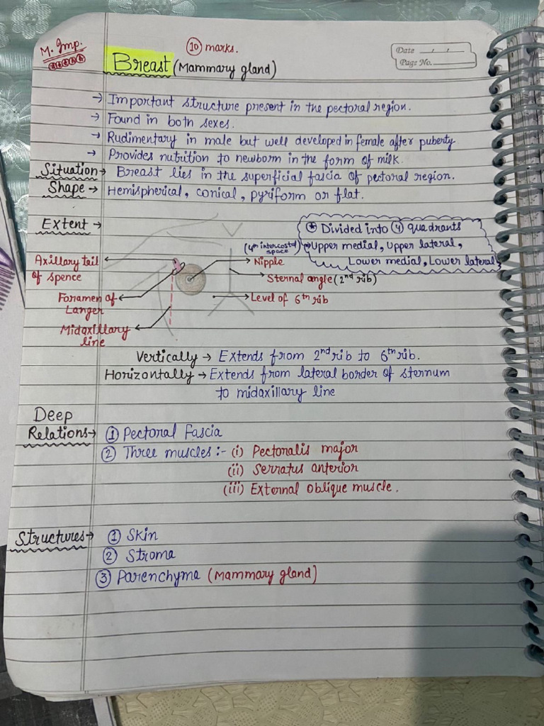 Upper Limb Handwritten Notes[ @Send_Paper_bot ] | PDF