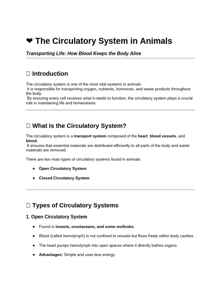 The Circulatory System in Animals | PDF | Circulatory System | Blood