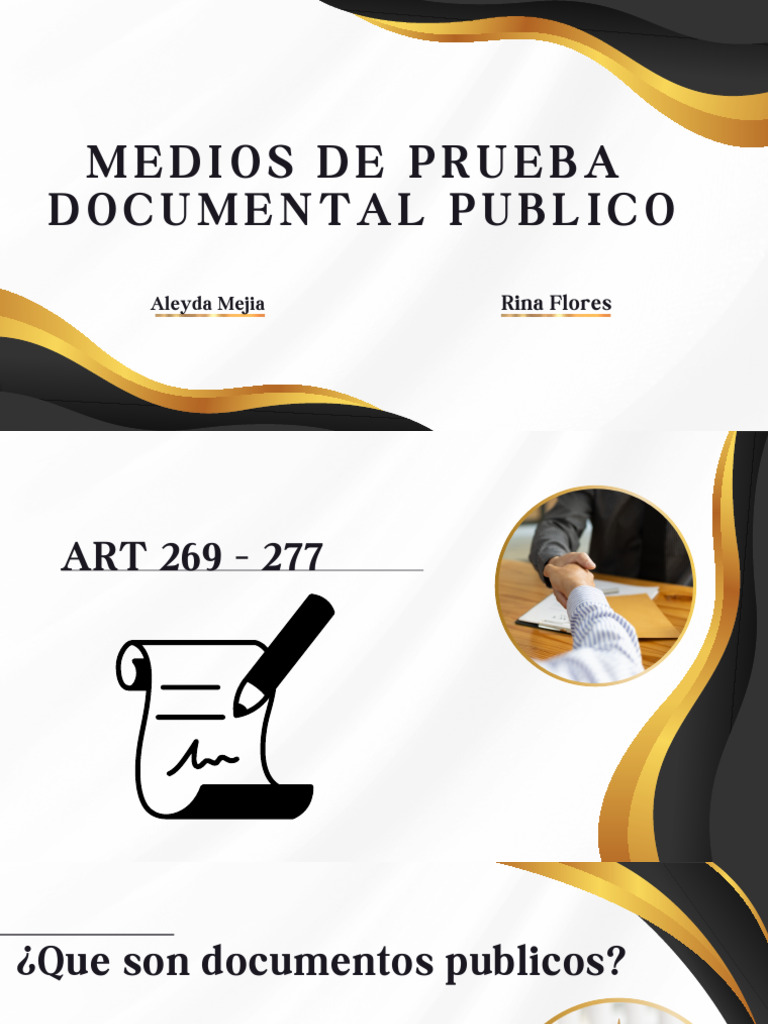 DOCUMENTO PUBLICO | PDF | Ley común | Justicia